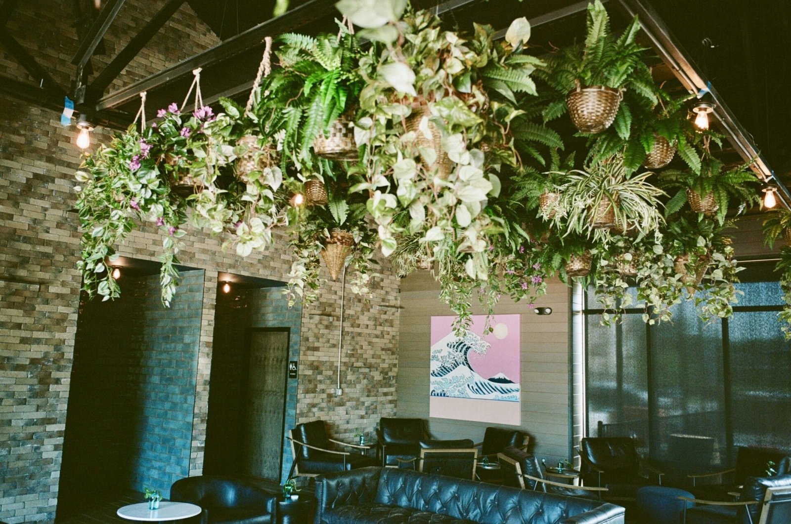 Cabana Club Austin TX | Austin Oasis club | Austin Oasis